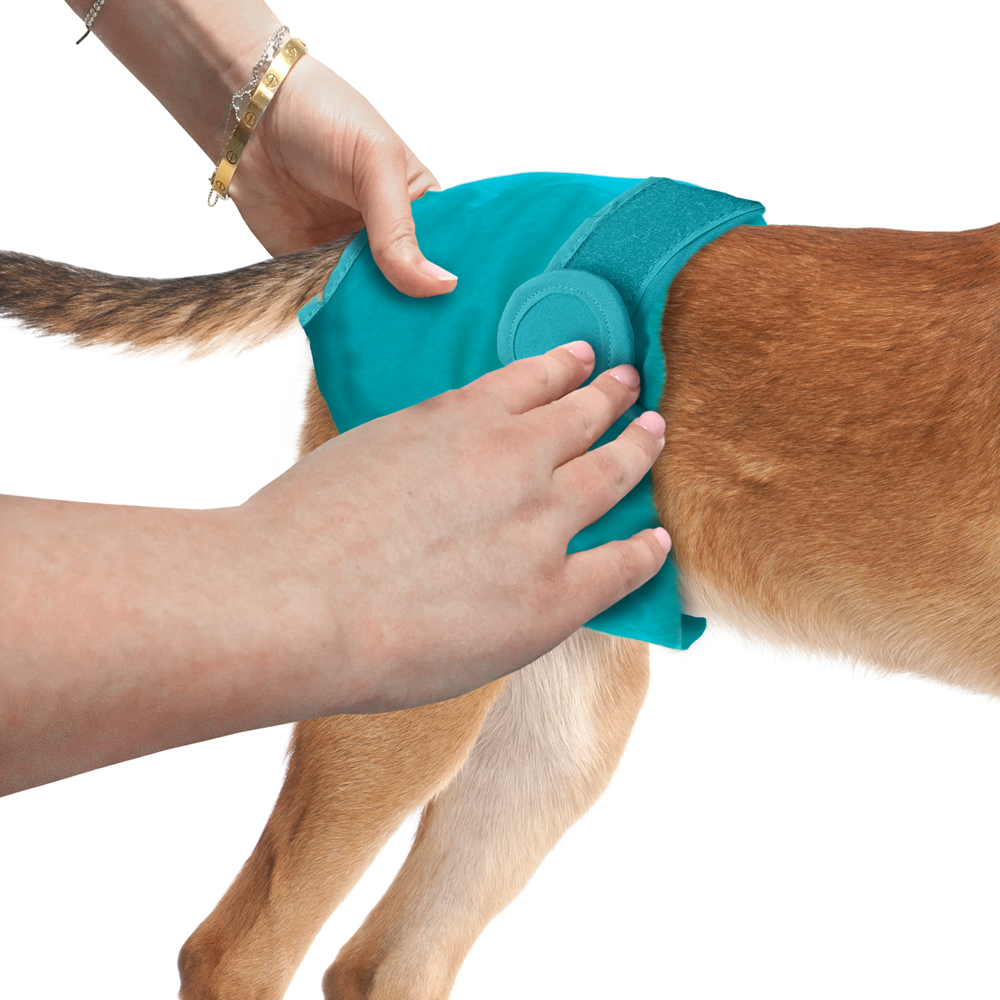 Washable Female Dog Diaper | Simple Solution